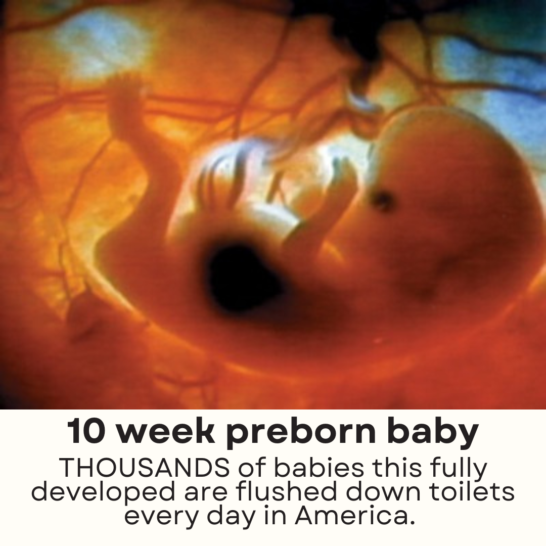 If you live in Cincinnati, are you drinking fetal remains? - Cincinnati ...